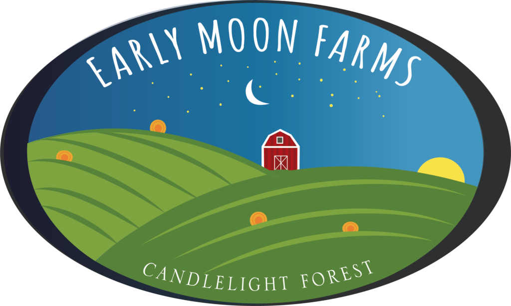 Home Community Northern Georgia | Cloudland Station